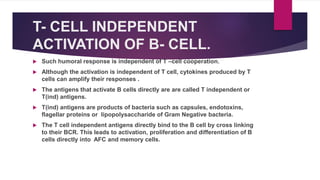 Bcell activation , differentiation and memory | PPTX