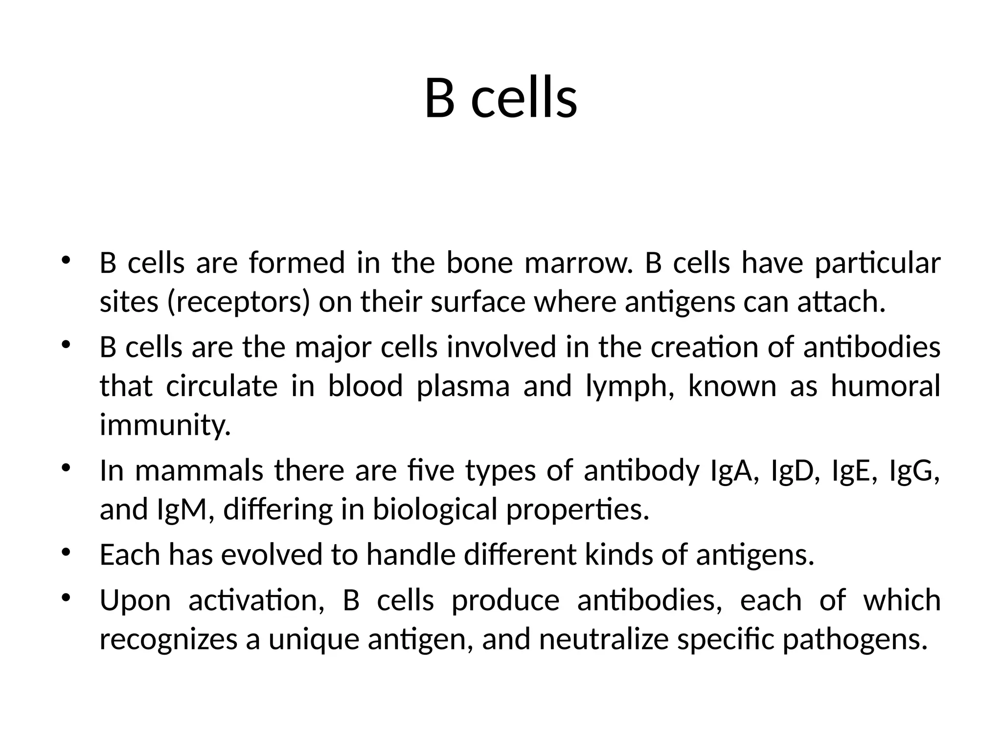 B cell and Immune responseB cell and Immune response | PPTX