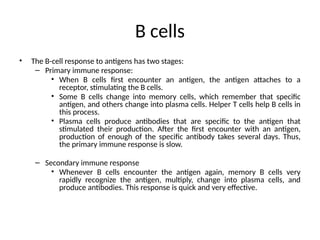 B cell and Immune responseB cell and Immune response | PPTX