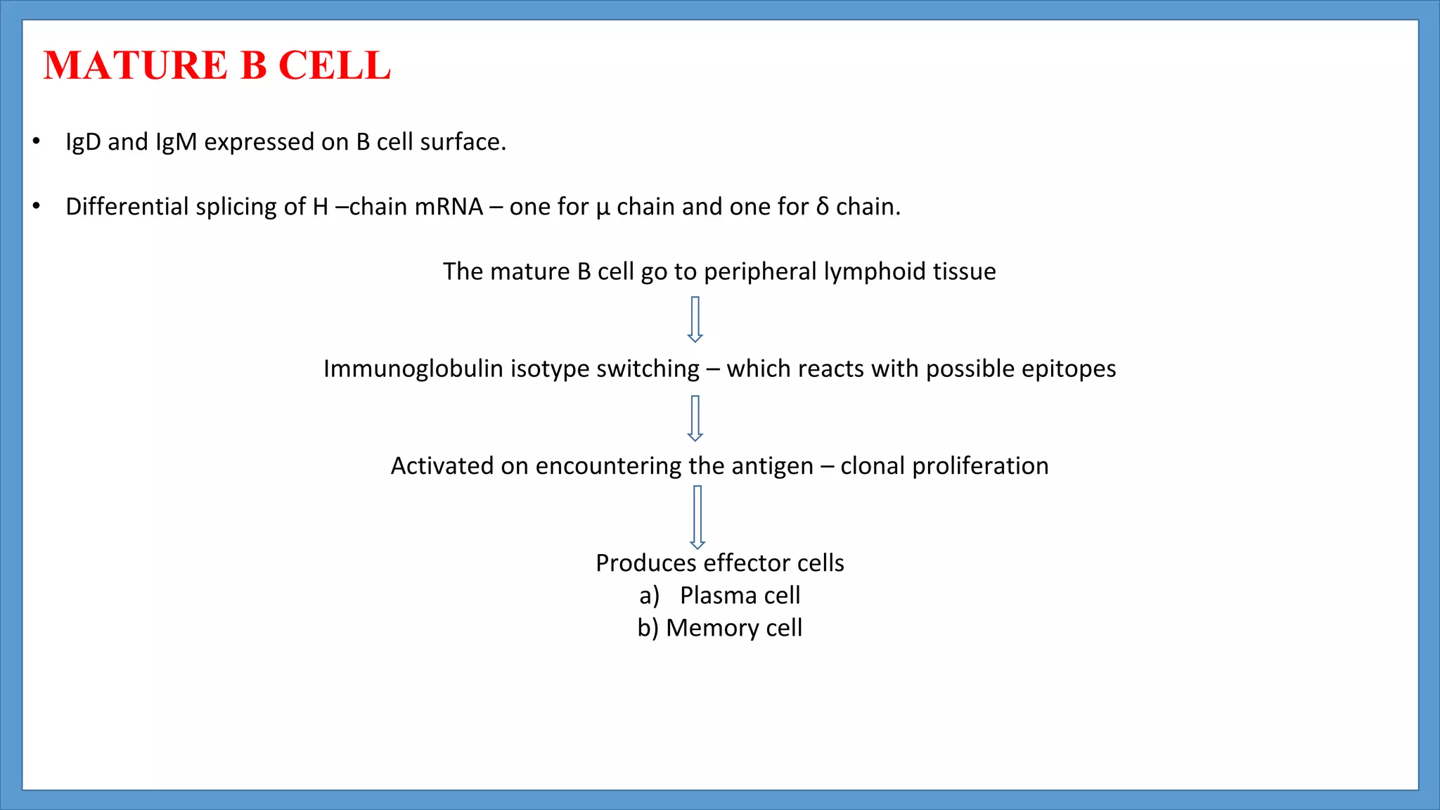 B-cell development.pptx