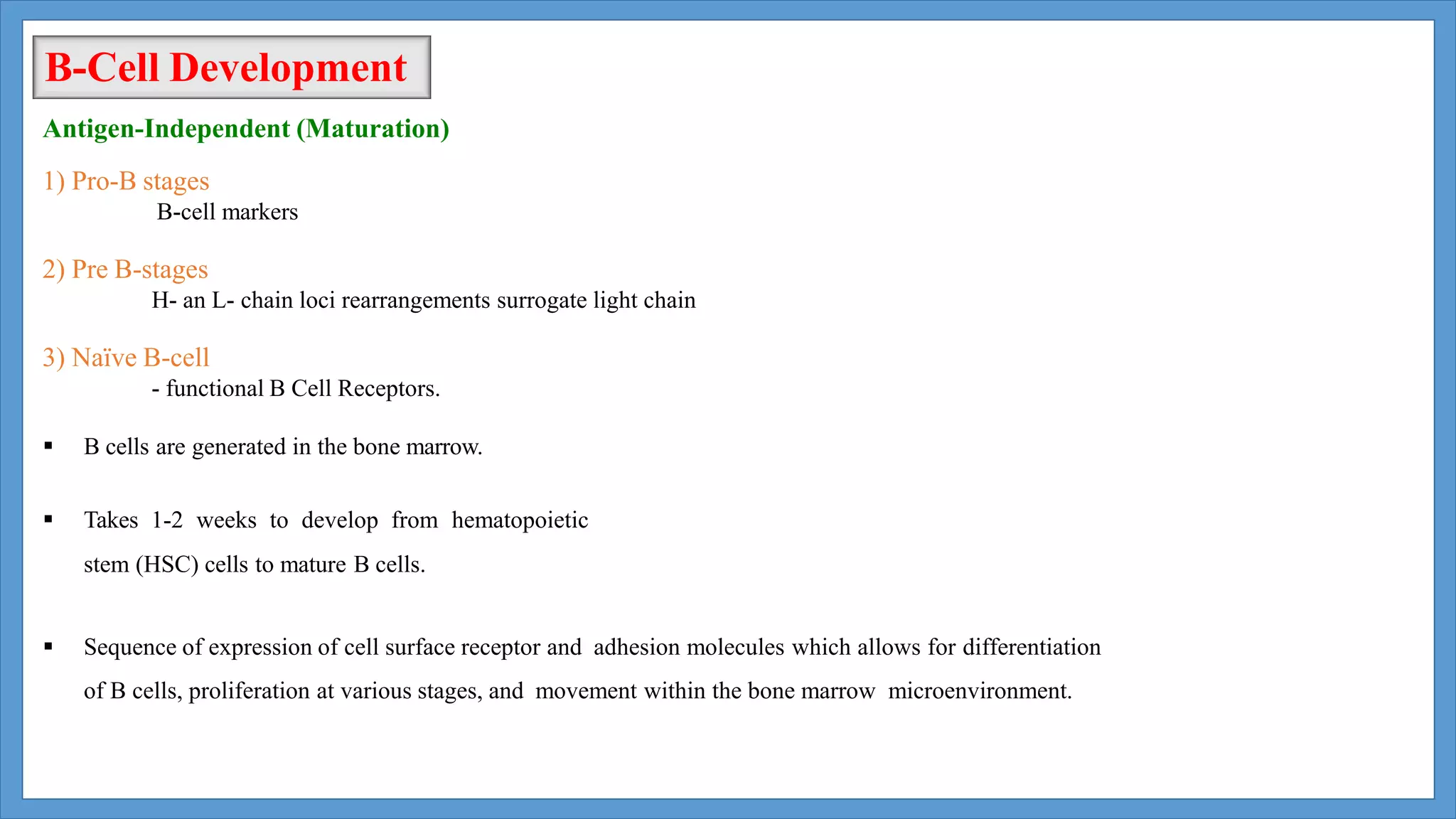 B-cell development.pptx