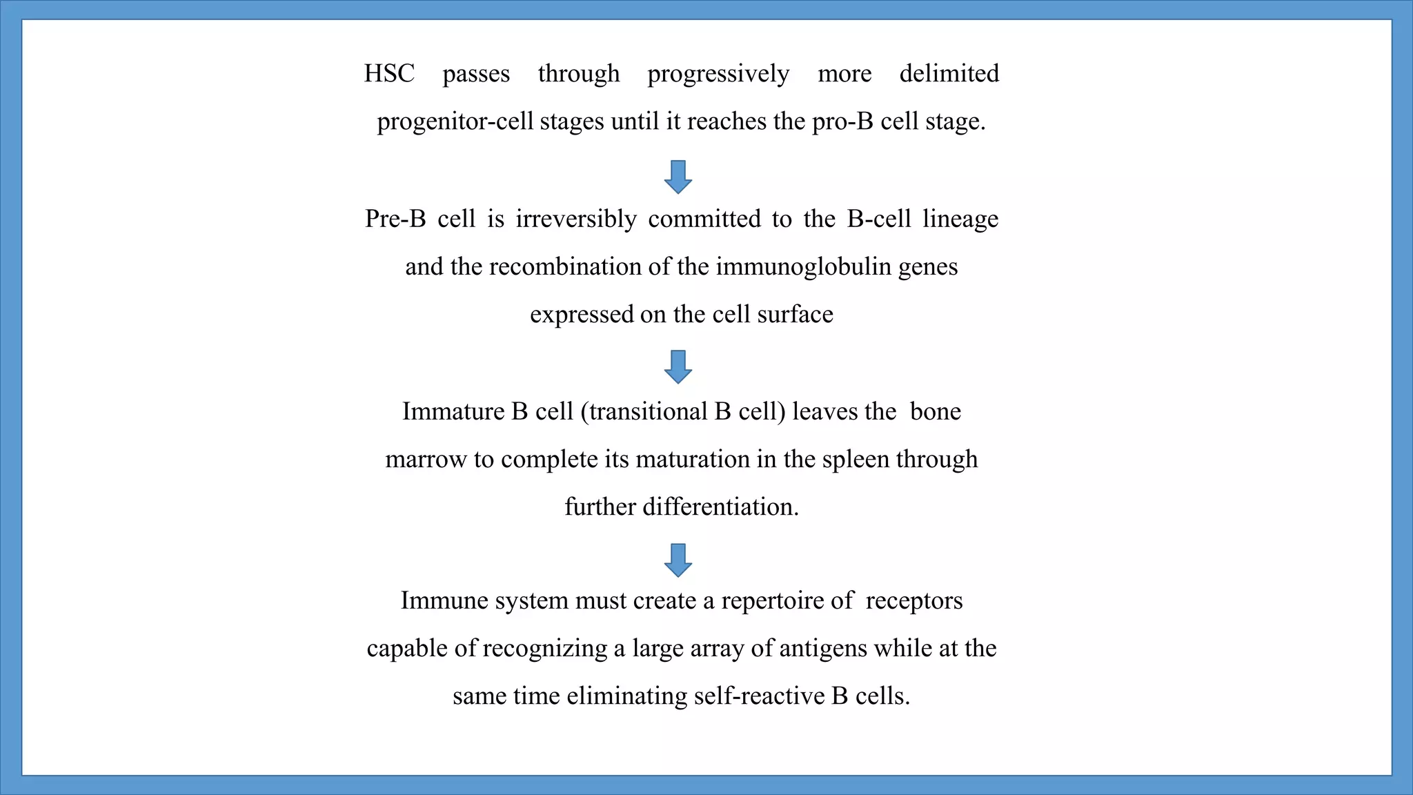 B-cell development.pptx