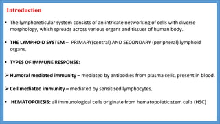B-cell development.pptx
