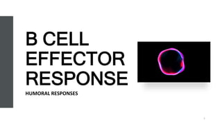 B CELL EFFECTOR RESPONSE......................pptx