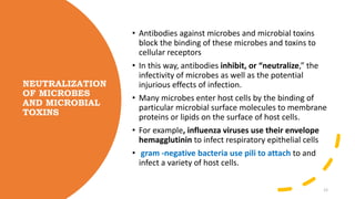 B CELL EFFECTOR RESPONSE......................pptx