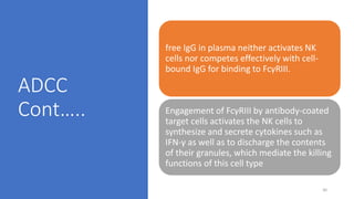 B CELL EFFECTOR RESPONSE......................pptx