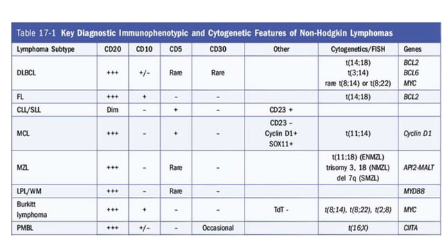 B cell lymphomas | PPTX
