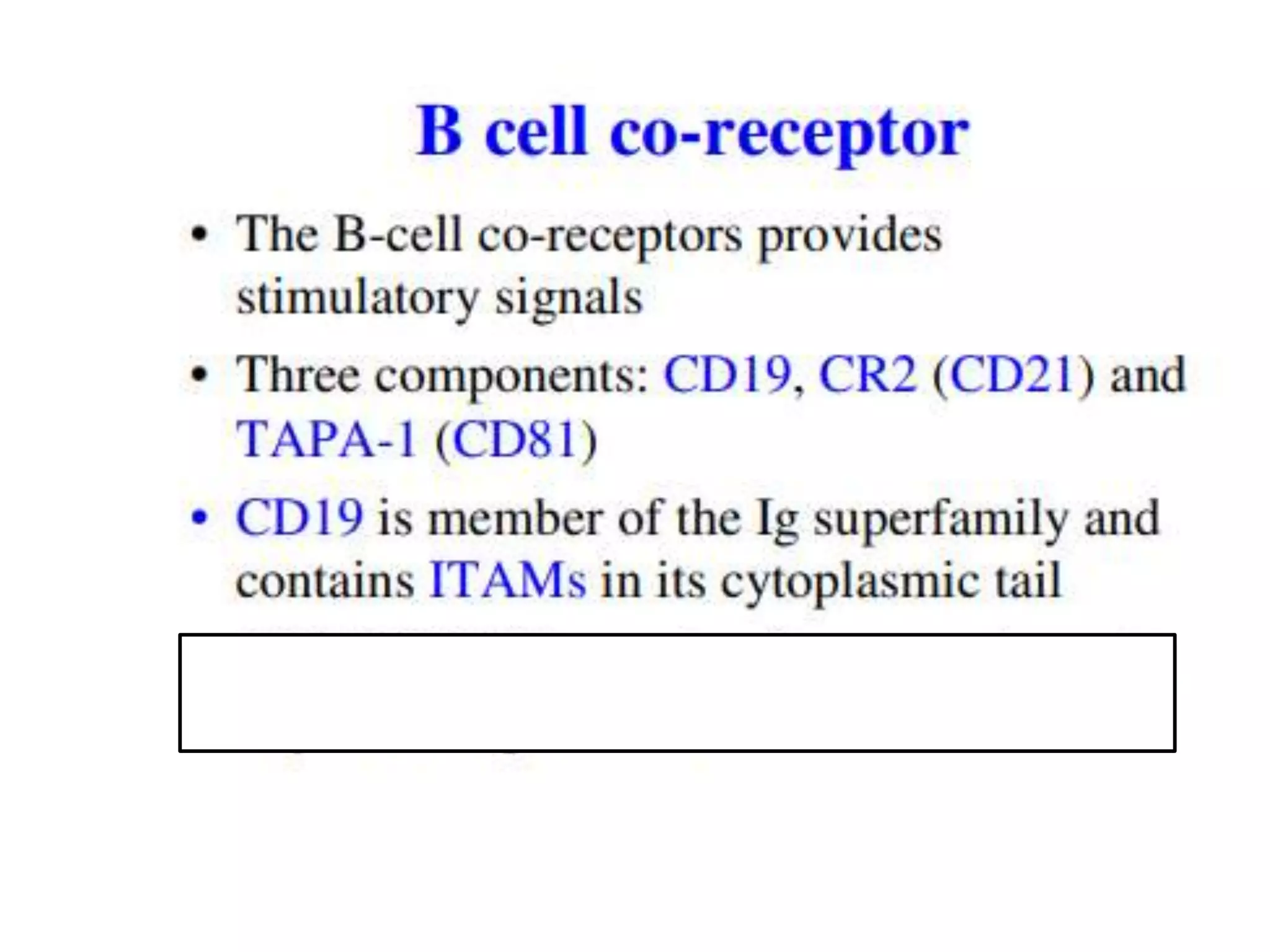 B CELL RECEPTOR final.pptx