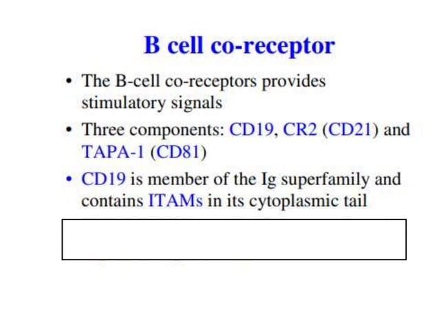 B CELL RECEPTOR final.pptx