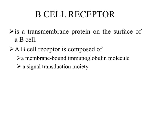 B CELL RECEPTOR final.pptx