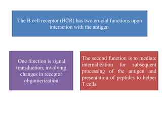 B CELL RECEPTOR final.pptx