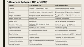 b cell receptor &T cell receptor.pptx..... | PPTX