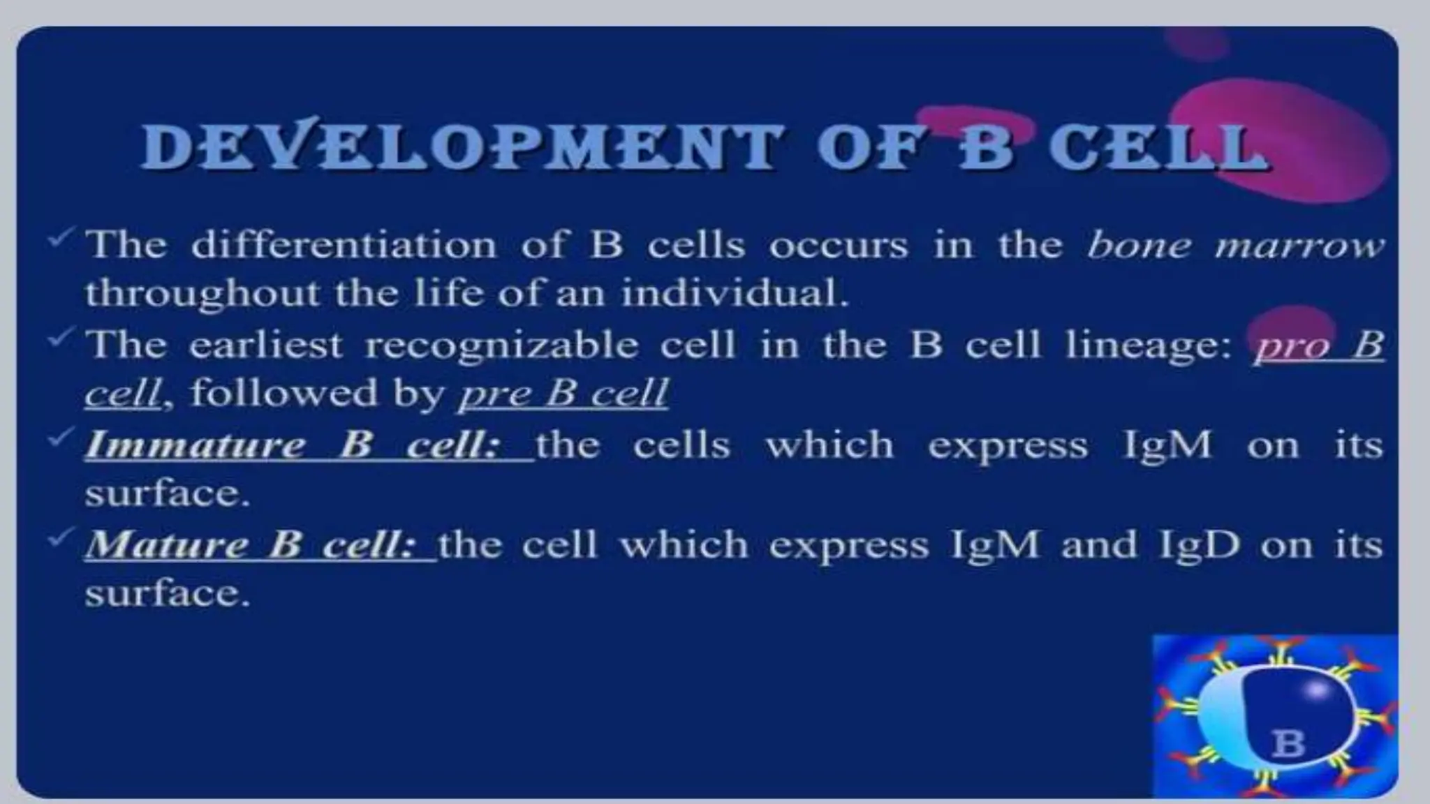 B Cells 1 Role And Functions 178858057 Pptx
