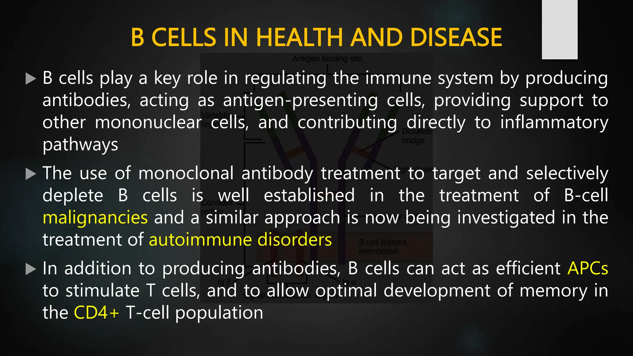 B Cells-1 role and functions 178858057.pptx
