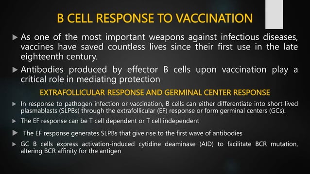 B Cells-1 role and functions 178858057.pptx