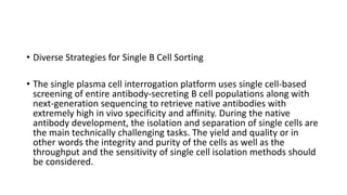 B cell sorting | PPTX