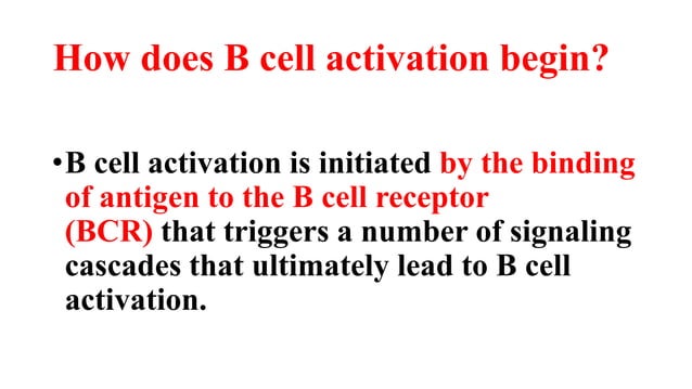 B Cell & T Cell Receptors.pptx