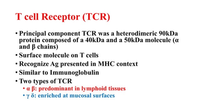 B Cell & T Cell Receptors.pptx