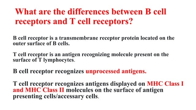 B Cell & T Cell Receptors.pptx