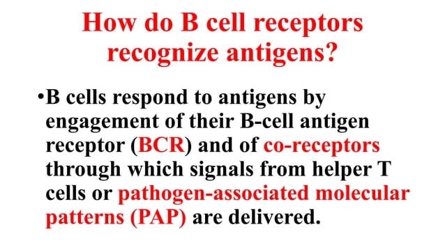 B Cell & T Cell Receptors.pptx