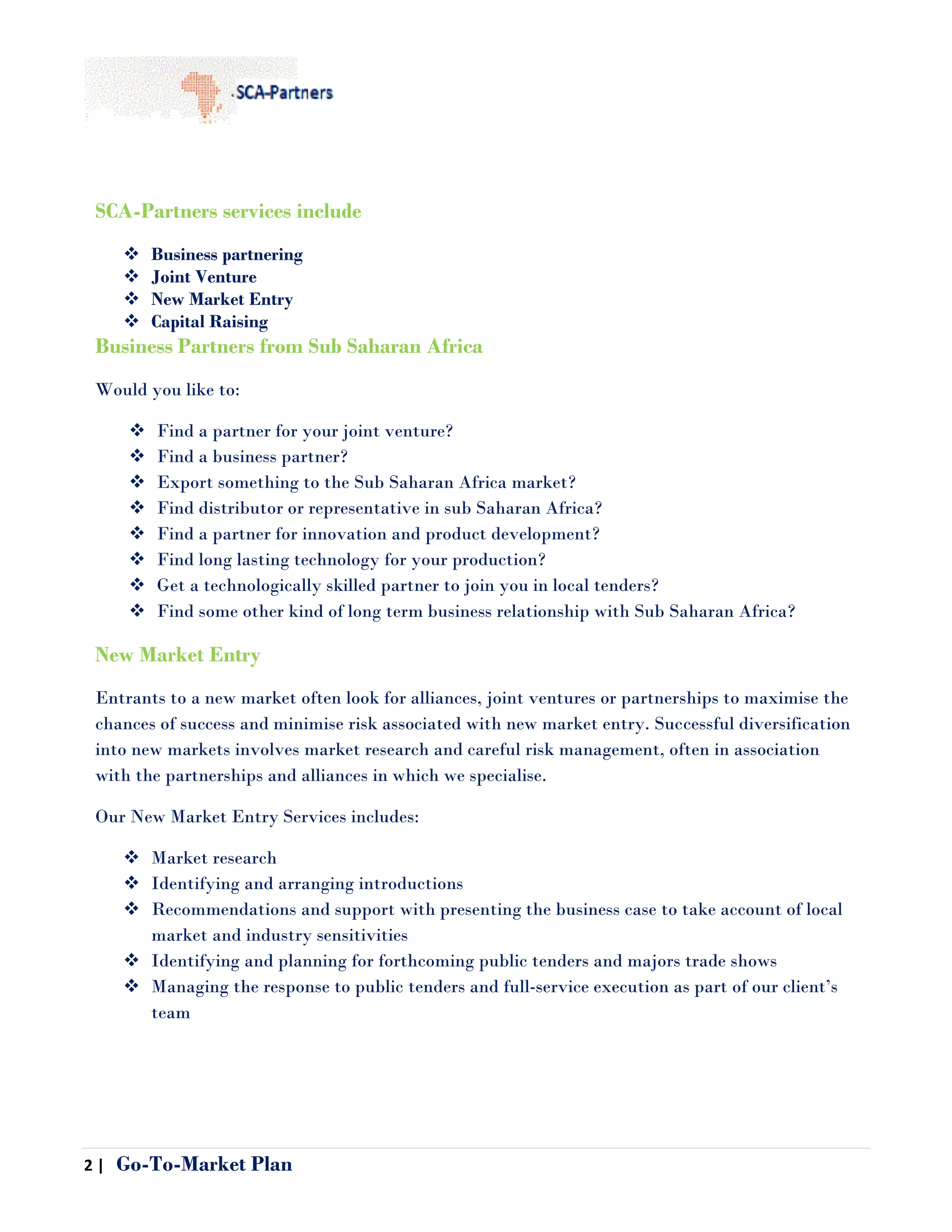 ceo's guide to new market entry | PDF