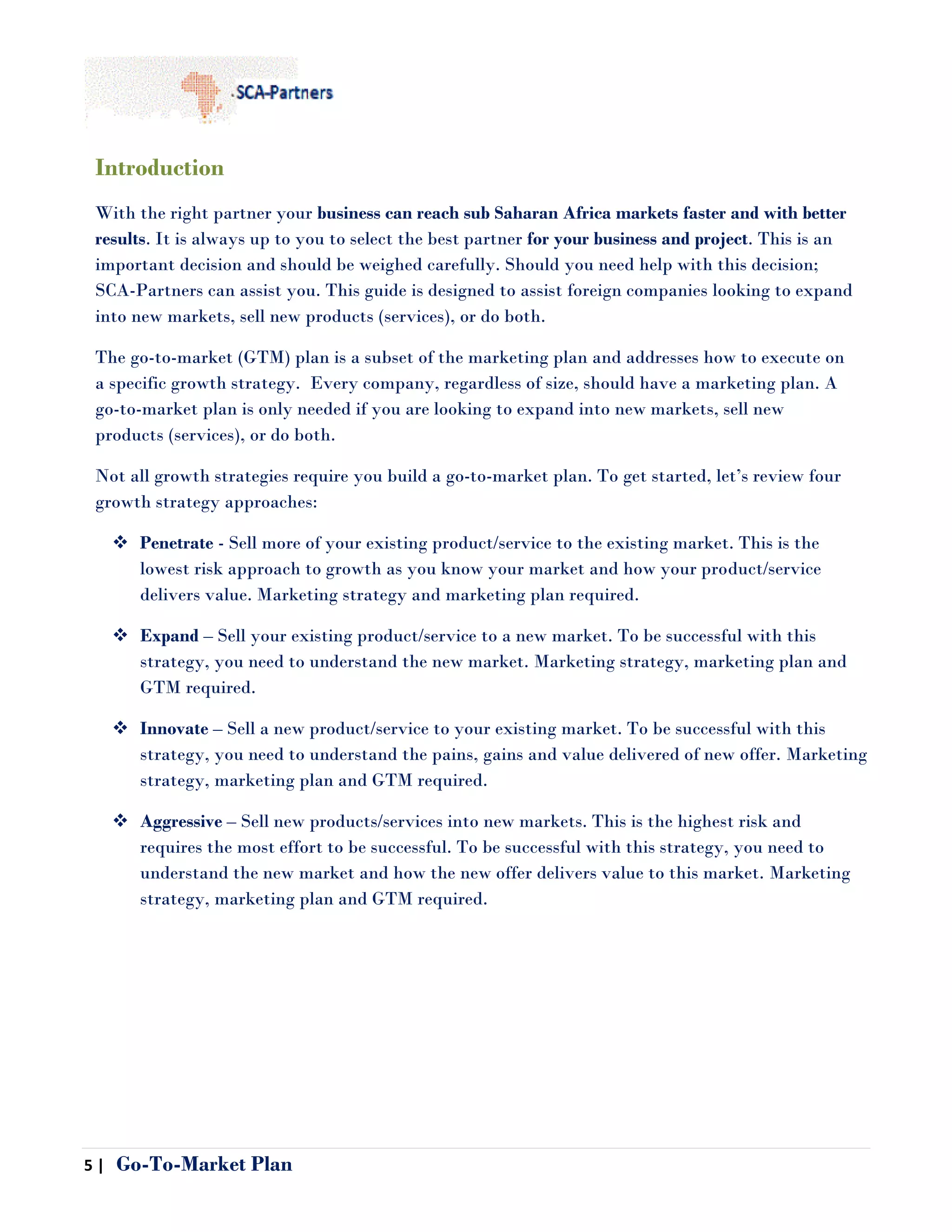 ceo's guide to new market entry | PDF