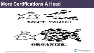 B certification p1 | PDF