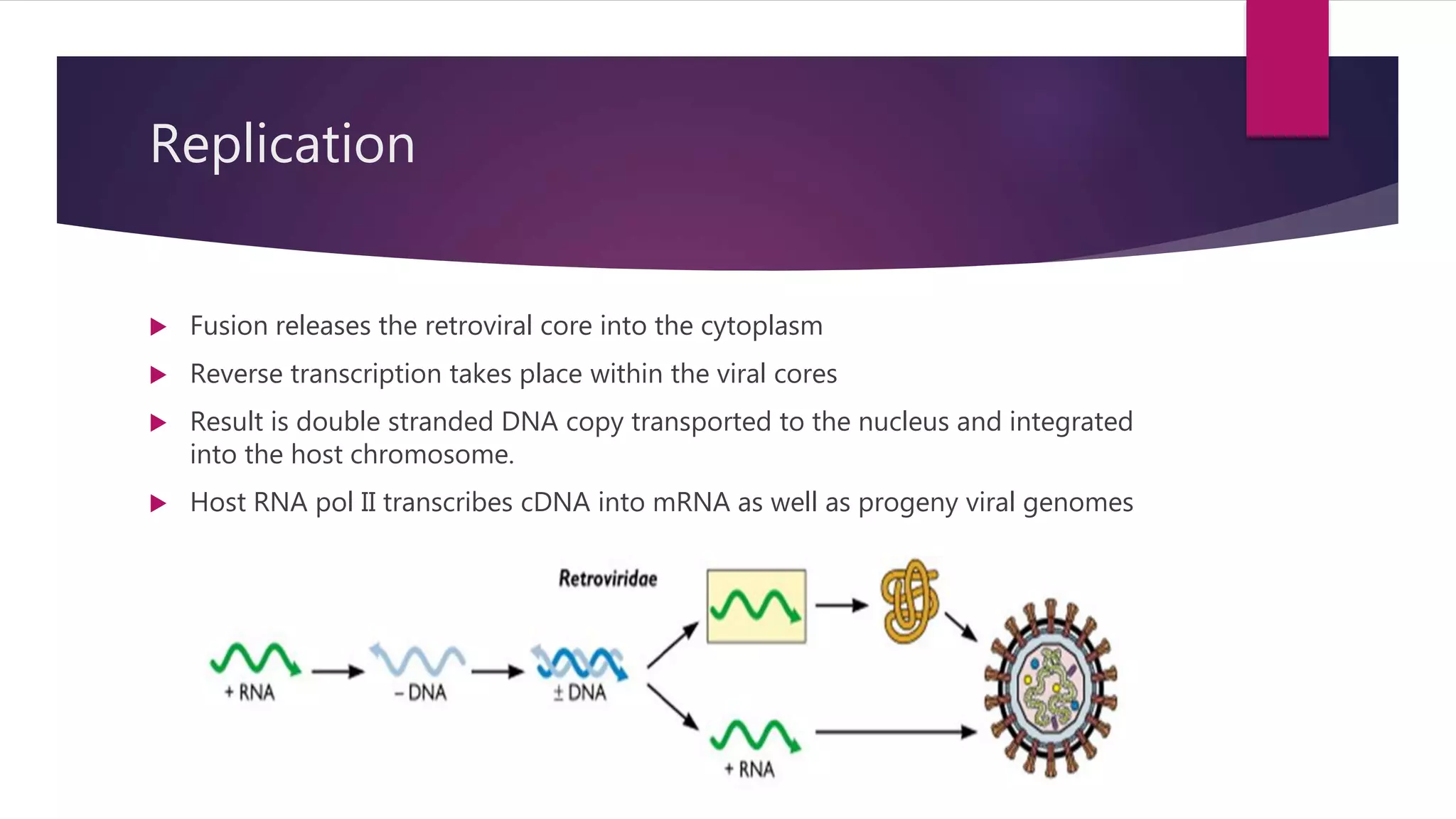 Rous Sarcoma Virus | PPTX