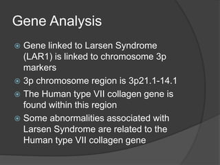 Case Study: Larsen Syndrome | PPTX