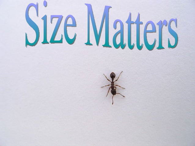 Tips to make a powerpoint look good | PPT