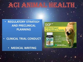 Advanced Chemical Industries (ACI) Limited Analyses based on The BCG ...