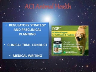 Analyses BCG Matrix on ACI Limited | PPTX