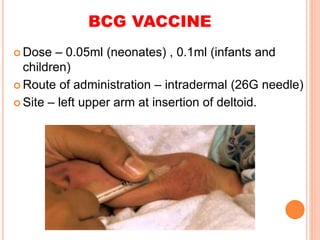 BCG ,DPT ,OPV | PDF