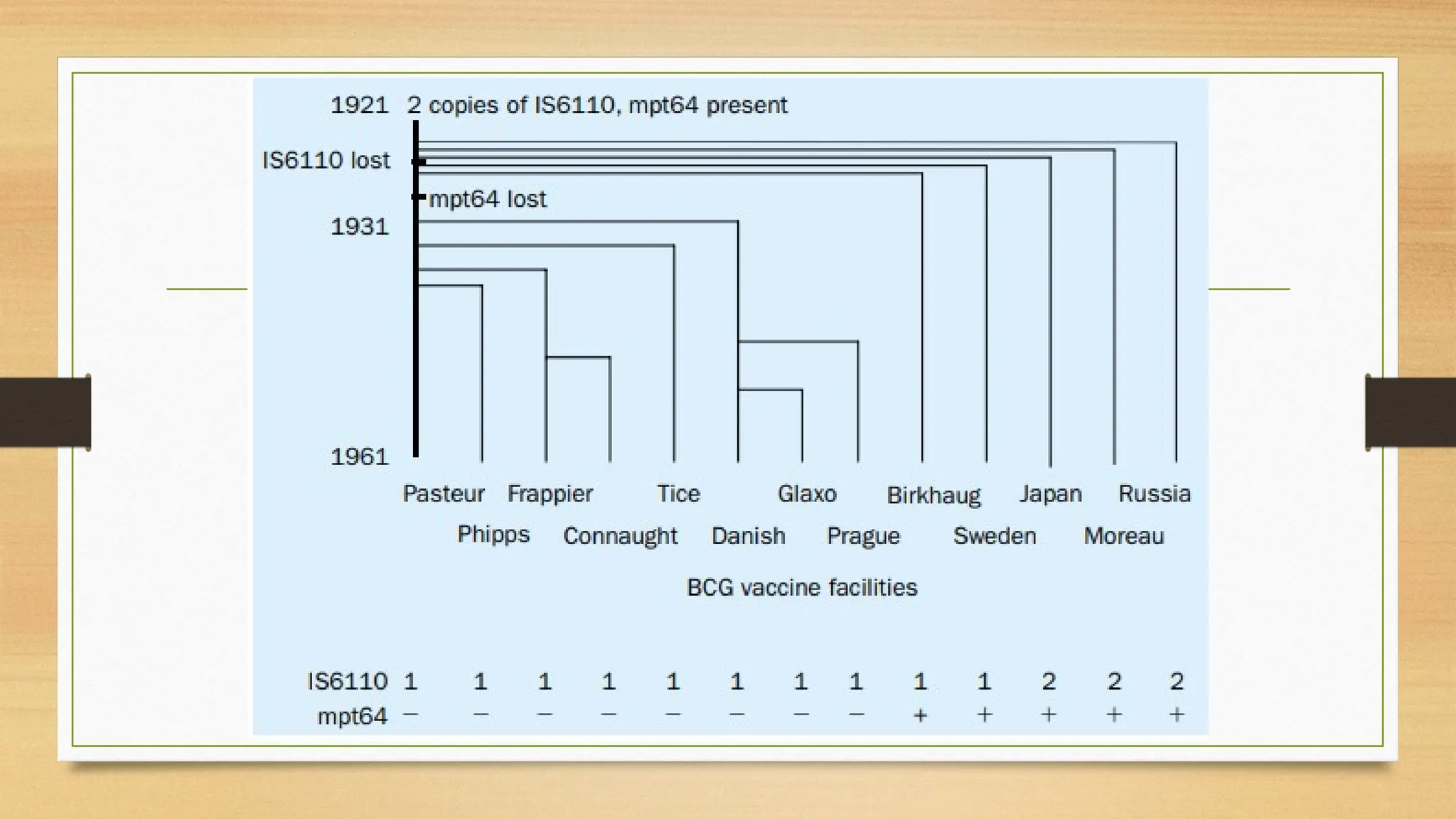 BCG therapy in Carcinoma of Bladder.pptx