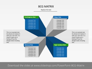 BCG Matrix | PDF