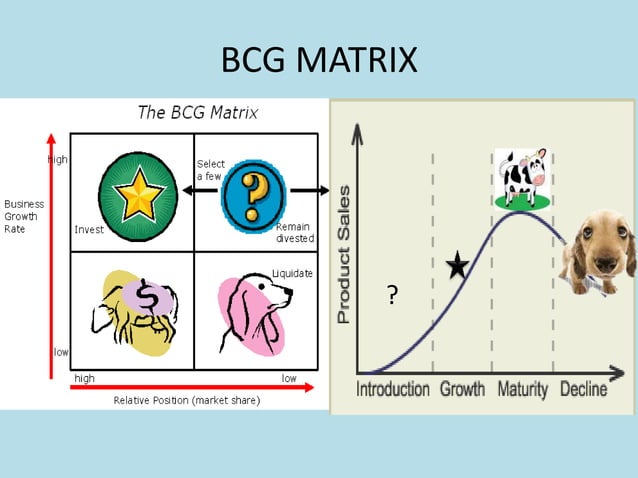 BCG MATRIX.pptx
