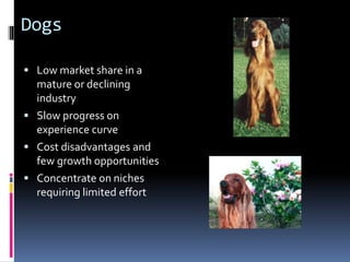 BCG MATRIX.ppt