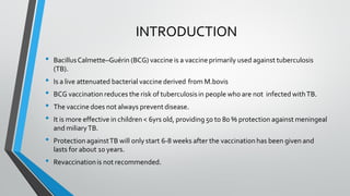 BCG vaccine | PDF