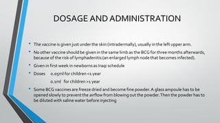 BCG vaccine | PDF
