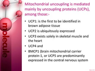 Uncoupling proteins (UCP) | PPTX