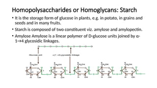 BCH 204 I STORAGE AND CELL WALL POLYSACCHARIDES.pptx