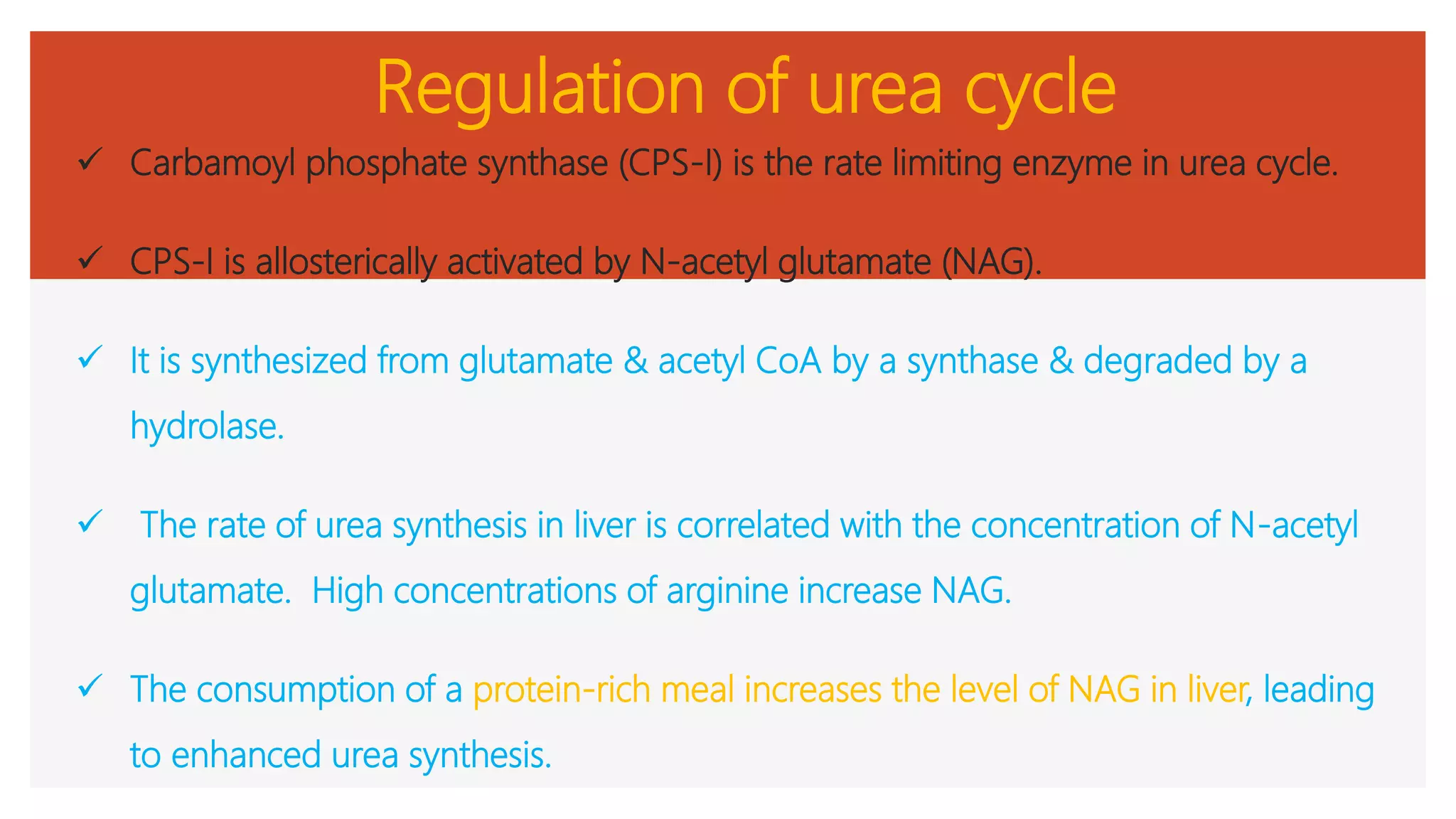 BCH 228-UREA CYCLE.pptx