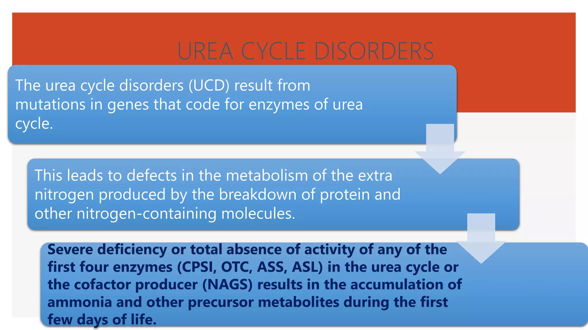 BCH 228-UREA CYCLE.pptx