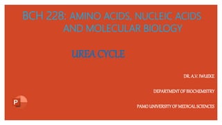 BCH 228-UREA CYCLE.pptx