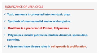 BCH 228-UREA CYCLE.pptx