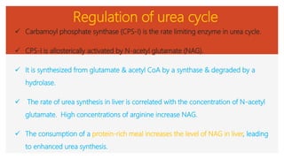 BCH 228-UREA CYCLE.pptx