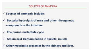 BCH 228-UREA CYCLE.pptx