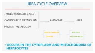 BCH 228-UREA CYCLE.pptx