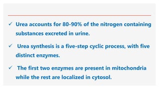 BCH 228-UREA CYCLE.pptx