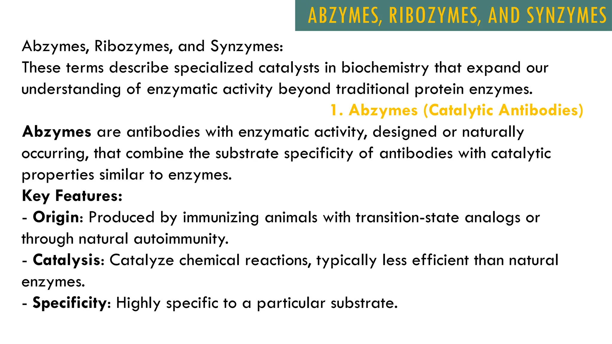 This the study of enzyme activity for those in collages | PPTX